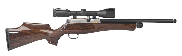 Daystate Buckmaster,